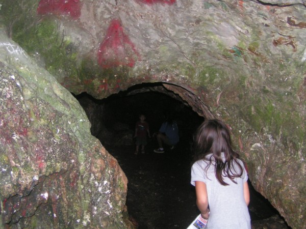 schusters in garner 2006